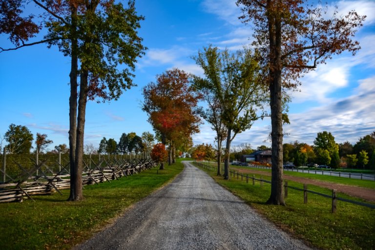 LDC PROJECT WINERY AT BULL RUN RECEIVES GOVERNOR S GRANT Land ldc-project-winery-at-bull-run-receives-governor-s-grant-land